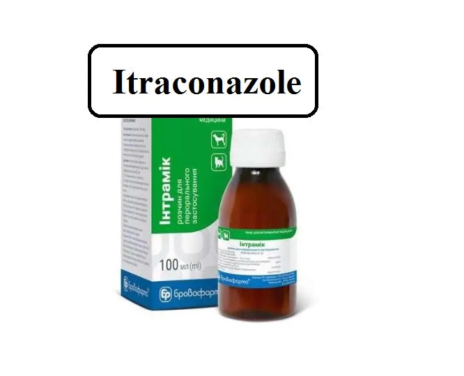 Intramic solution for dogs and cats 100ml – Tylosin Tylan Vet Store