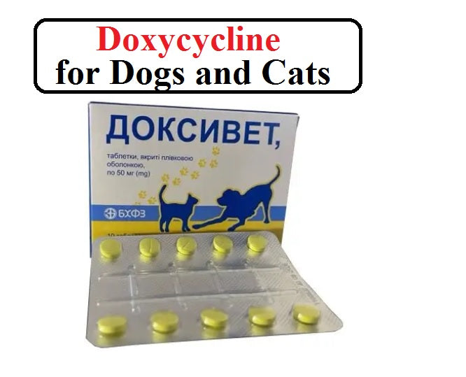 Doxyvet for Dogs and Cats (20 tabs) – Tylosin Tylan Vet Store