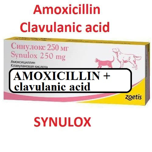 SYNULOX 250 MG (10 TABLETS) FOR DOGS AND CATS – Tylosin Tylan Vet Store